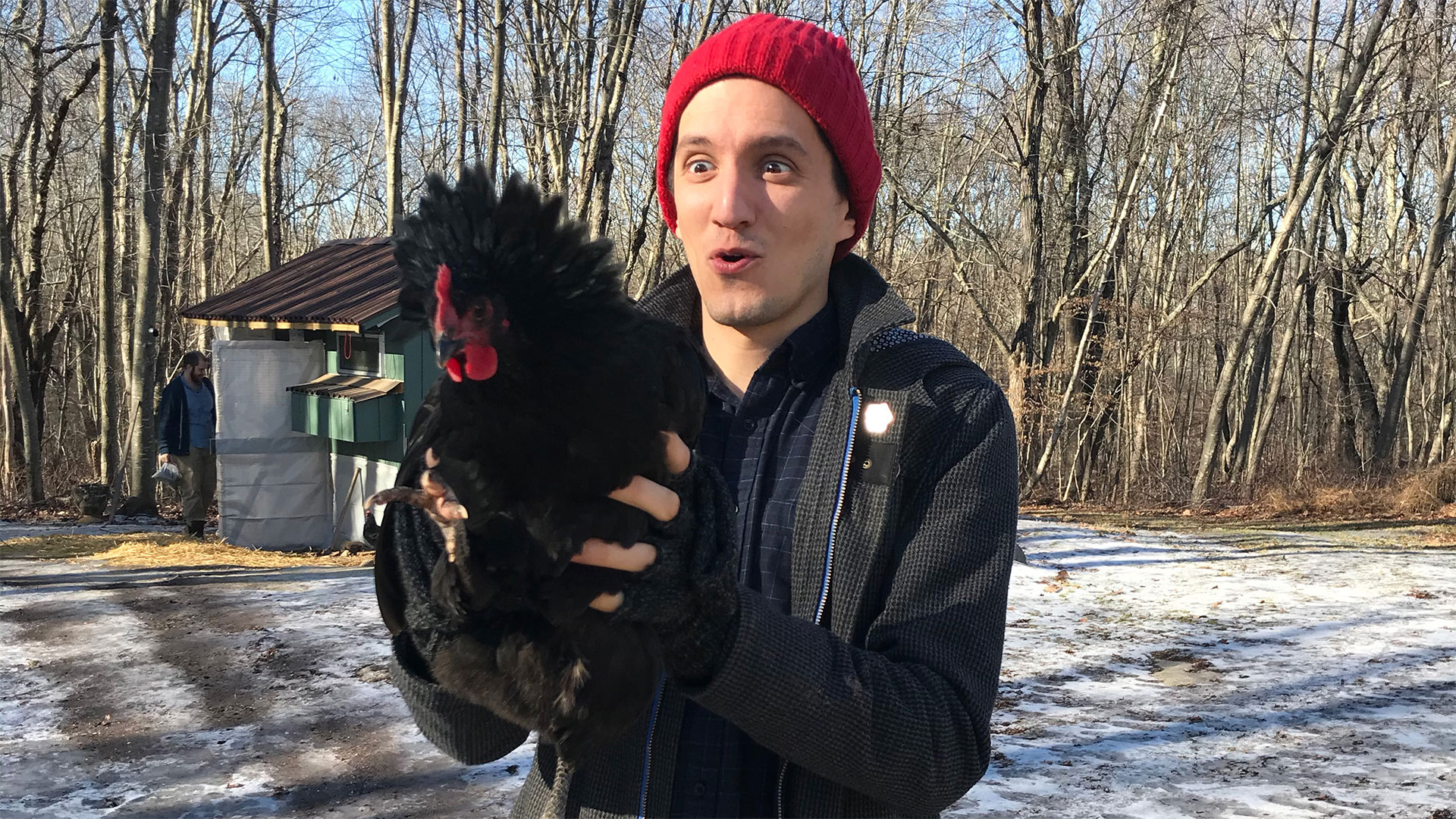 Pixelwarte | Dan Vecchitto - „Quick and dirty“ über Trombone Champ